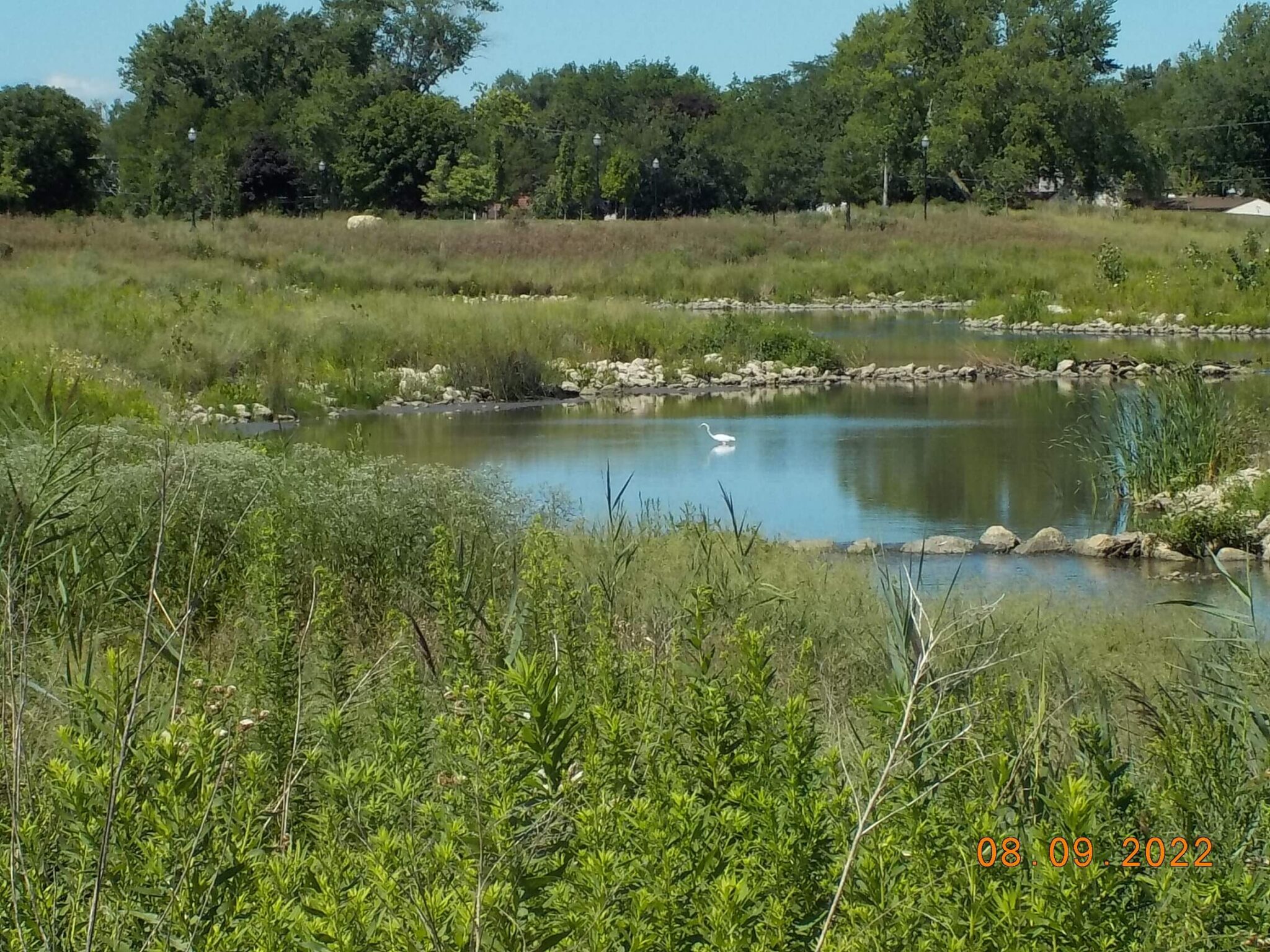 Projects Archive - CBBEL